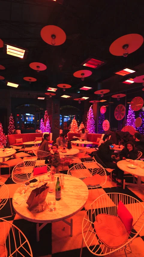 Plaza Hotel Dining Stock Videos – Royalty-Free HD & 4K Videos