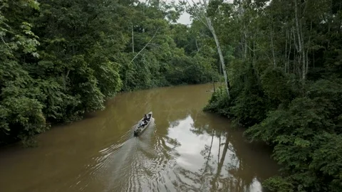 Amazon River Rainforest Stock Footage ~ Royalty Free Stock Videos | Pond5