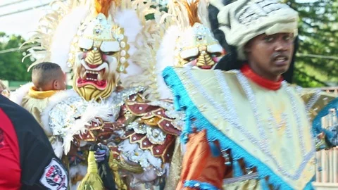 people in flamboyant costumes pose for c... | Stock Video | Pond5