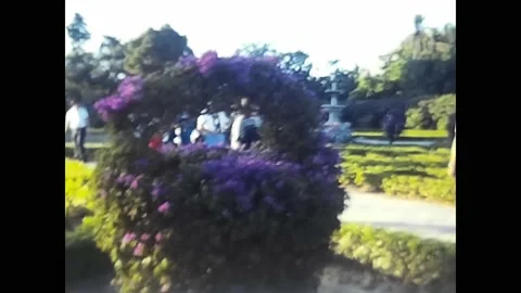 Little People 80S Stock Videos – Royalty-Free HD & 4K Videos | Pond5