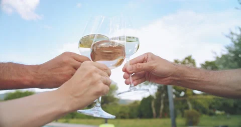 People Hands cheering with glasses of wh... | Stock Video | Pond5