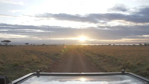 Safari Drive Stock Video Footage | Royalty Free Safari Drive Videos | Pond5