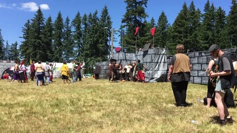 Larp Stock Footage ~ Royalty Free Stock Videos | Pond5