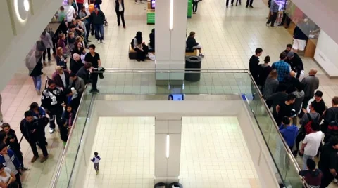 People line up for waiting celebrity pho... | Stock Video | Pond5