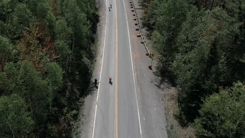 People Longboarding On The Asphalt Road ... | Stock Video | Pond5