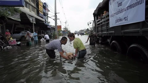 People Safe Stock Videos – Royalty-Free HD & 4K Videos