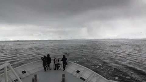 Antarctica Expedition Stock Footage ~ Royalty Free Stock Videos | Pond5