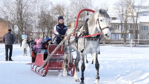 Horse Ride Sleigh Stock Videos – Royalty-Free HD & 4K Videos