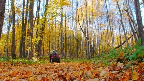 Dead People Move Stock Videos – Royalty-Free HD & 4K Videos