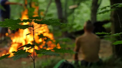People Sitting Watching a Fire Burn Ivan... | Stock Video | Pond5