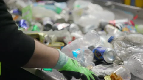 People sorting Plastic Bottles and Alumi... | Stock Video | Pond5