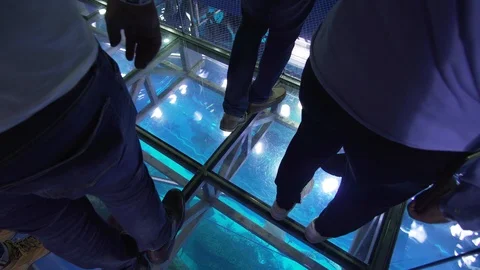 Glass Fish Stock Video Footage | Royalty Free Glass Fish Videos | Pond5