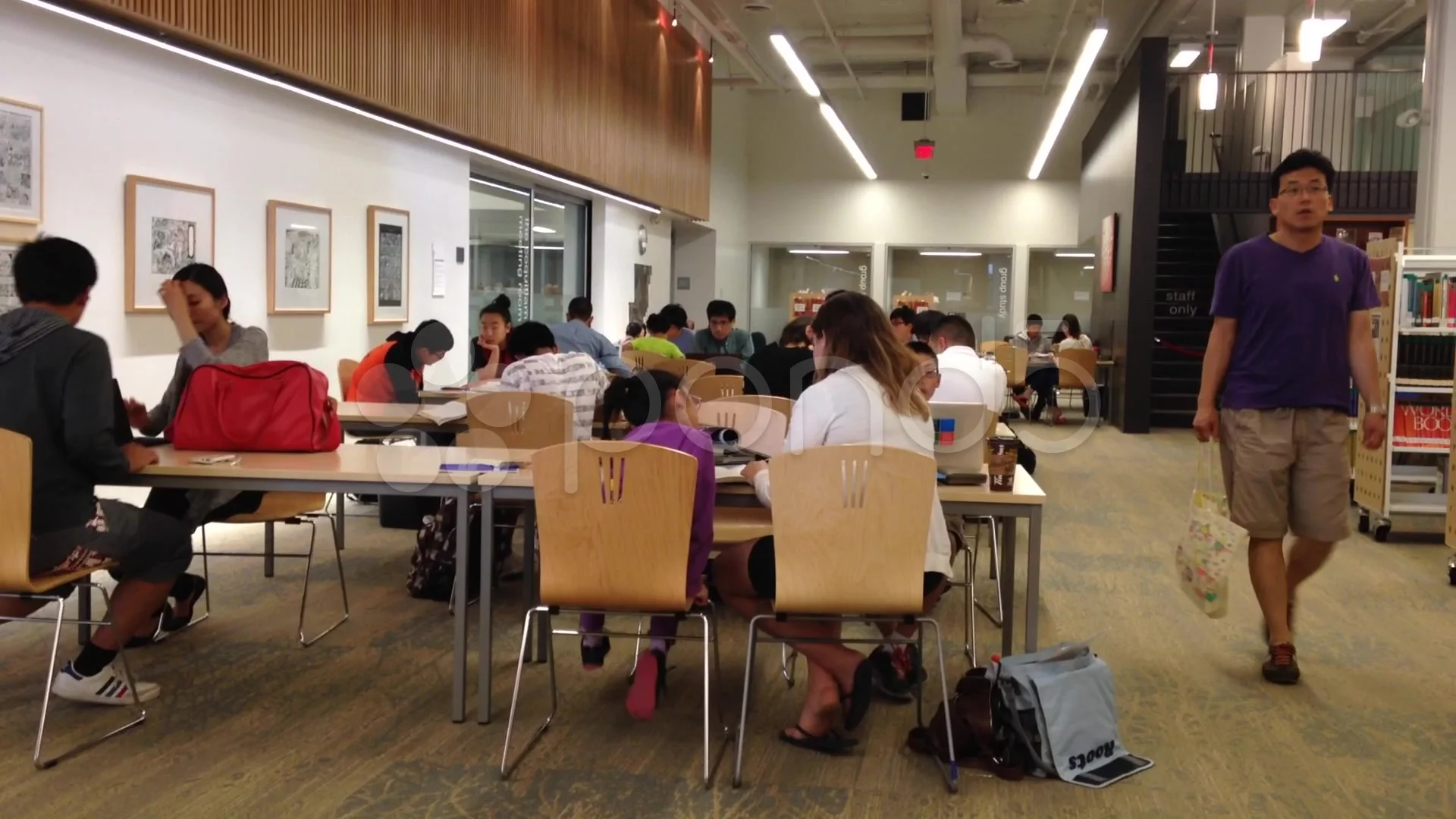 Person Studying In Library