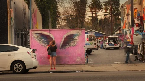 Photos Of Wings Stock Videos – Royalty-Free HD & 4K Videos