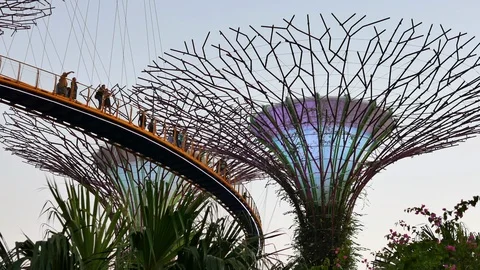 Maina People Pictures Stock Videos – Royalty-Free HD & 4K Videos