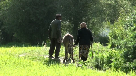 Take That Back Stock Videos – Royalty-Free HD & 4K Videos | Pond5