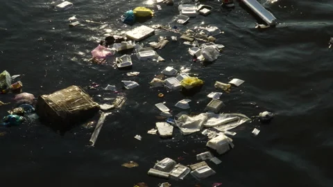 Throwing Garbage In The Water