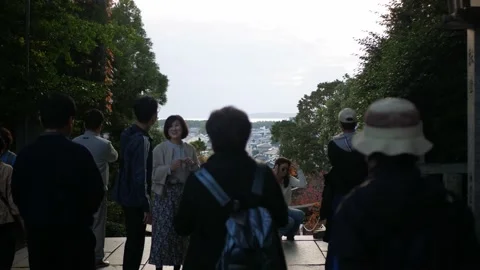 Photosphotos_M Stock Videos – Royalty-Free HD & 4K Videos