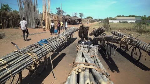 People On Sticks Stock Videos – Royalty-Free HD & 4K Videos | Pond5