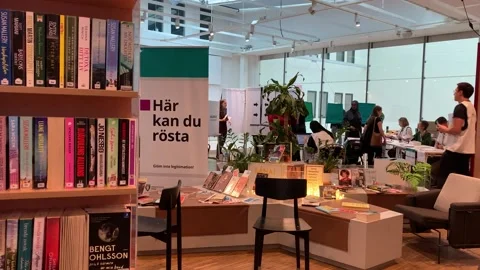 Picture On Voting Stock Videos – Royalty-Free HD & 4K Videos