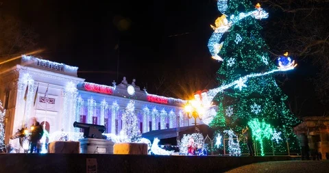 Lapse Time Walking Tree Stock Video Footage | Royalty Free Lapse Time ...