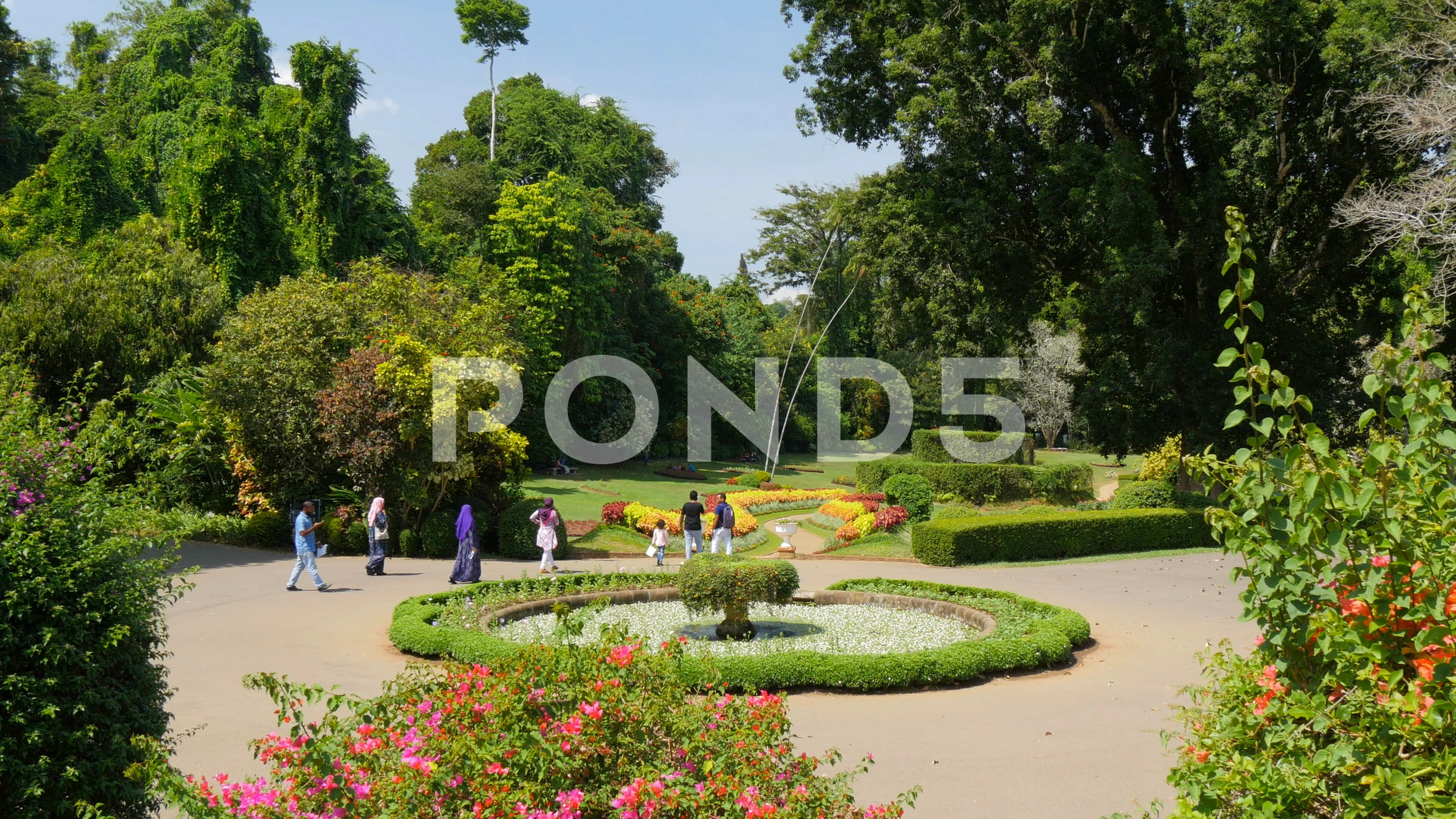 Peradeniya Botanical Garden Map | Fasci Garden