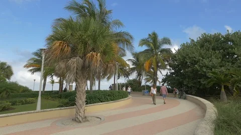 People walking on a walkway in Miami Bea... | Stock Video | Pond5