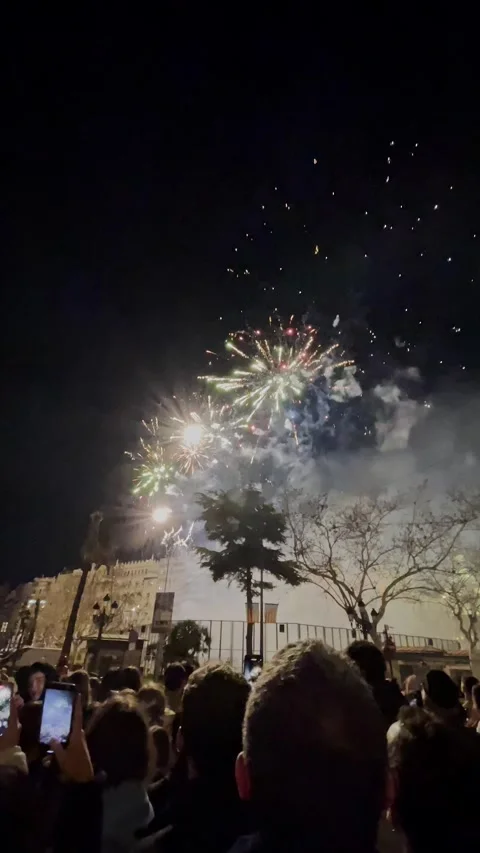 People Watch Fireworks Stock Video Footage | Royalty Free People Watch ...