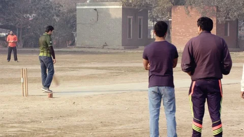 Field Cricket Face Stock Videos – Royalty-Free HD & 4K Videos