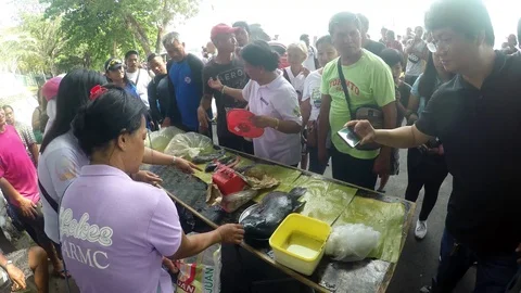 People watching big fish breeding contes... | Stock Video | Pond5