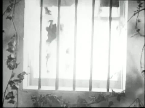 Fire Window Stock Footage ~ Royalty Free Stock Videos | Pond5