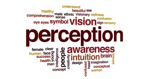 Perception Stock Footage ~ Royalty Free Stock Videos | Pond5