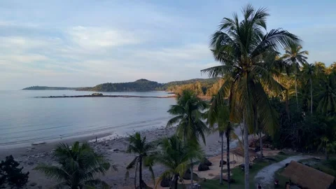 Perfect aerial top view flightdrone. pal... | Stock Video | Pond5