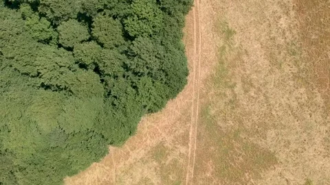 Perfect and Puffy Stock Videos – Royalty-Free HD & 4K Videos | Pond5