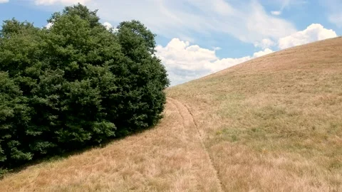 Perfect and Puffy Stock Videos – Royalty-Free HD & 4K Videos | Pond5