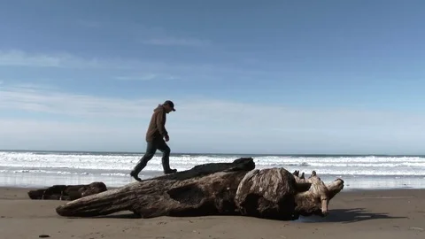 A Perfect Place Stock Videos – Royalty-Free HD & 4K Videos