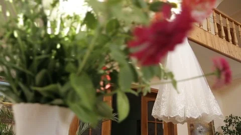 Black Roses Skirt Stock Videos – Royalty-Free HD & 4K Videos