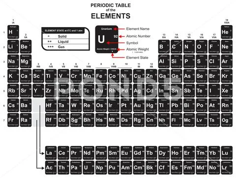 Periodic table of the elements infographic diagram Illustration #191429608
