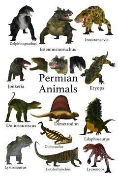 Permian Period Fossils