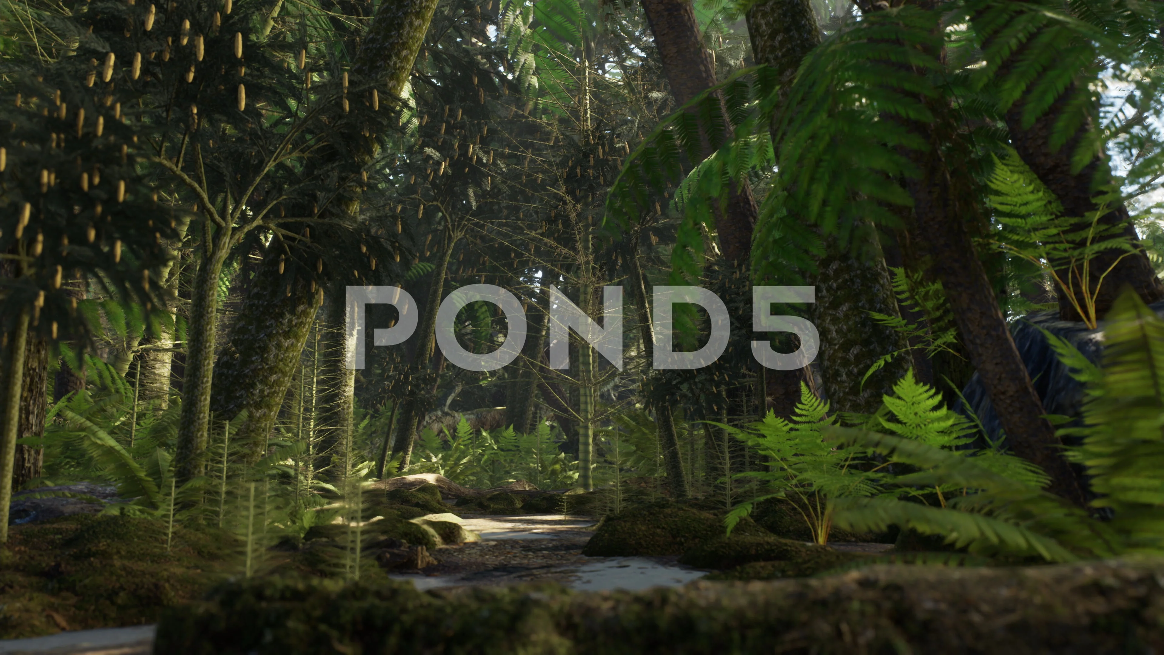 Lepidodendron Forest Lepidodendron Tree Found In New Zealand | TikTok