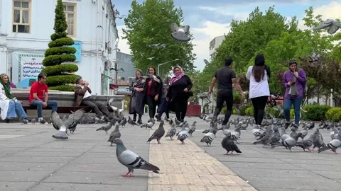 Persian people taking photograph in a to... | Stock Video | Pond5