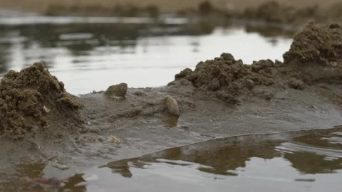 Builsing On Piles Stock Videos – Royalty-Free HD & 4K Videos