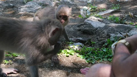 Two Person Scenes Stock Videos – Royalty-Free HD & 4K Videos