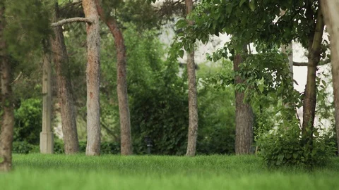 The Person N Stock Videos – Royalty-Free HD & 4K Videos