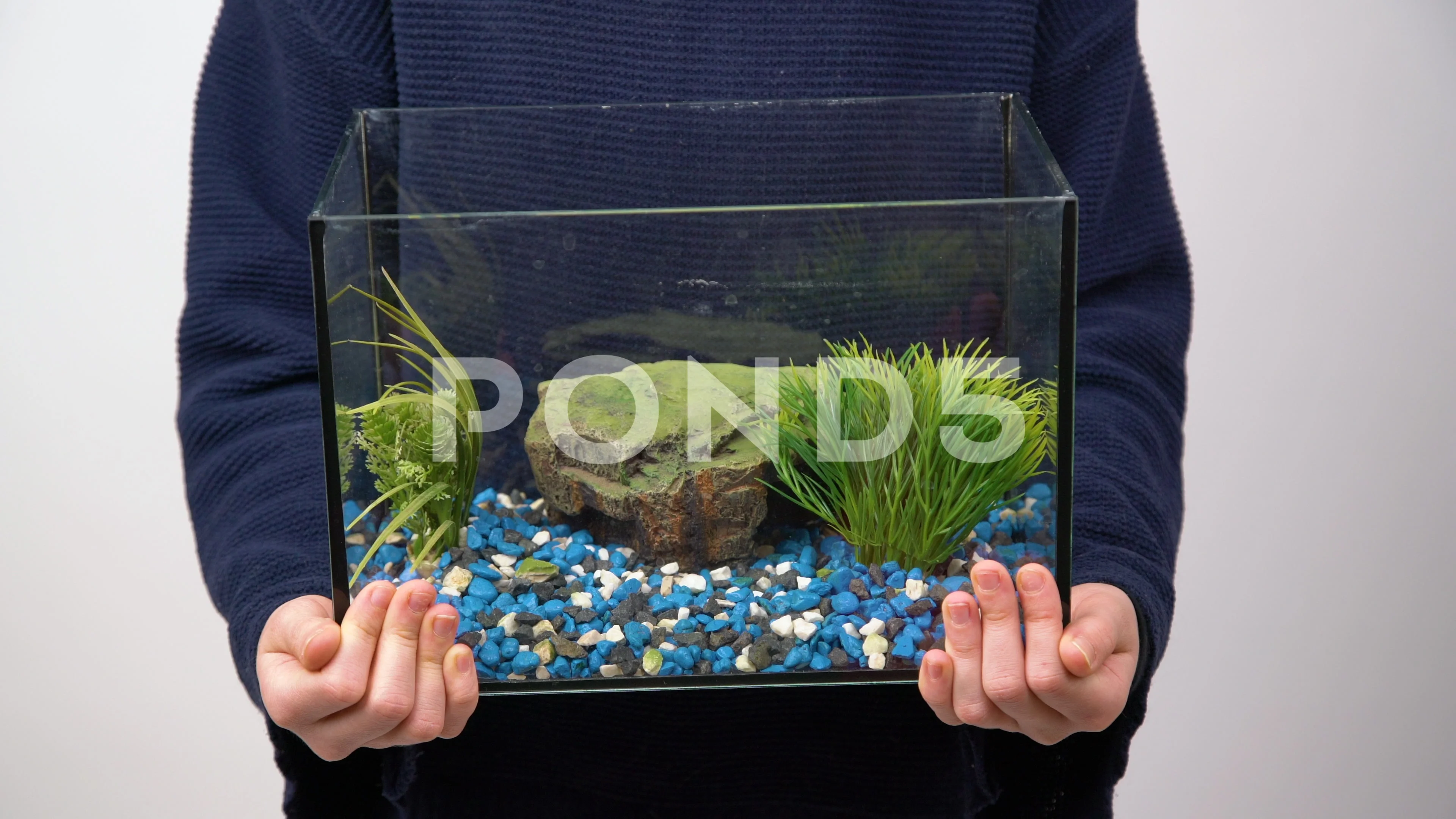 Commercial Fish Holding Tanks
