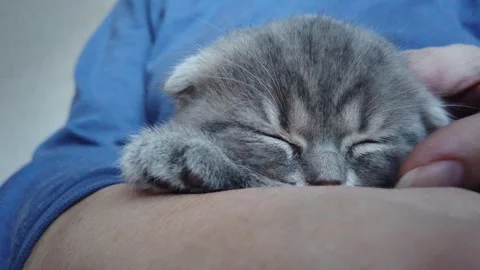 Strokes Faces Stock Videos – Royalty-Free HD & 4K Videos