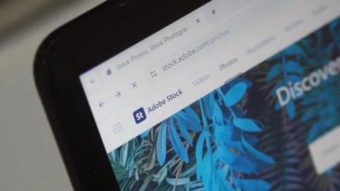 Images Adobe Stock Stock Videos – Royalty-Free HD & 4K Videos