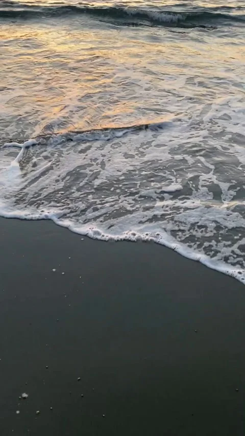 Person Fo Stock Videos – Royalty-Free HD & 4K Videos | Pond5