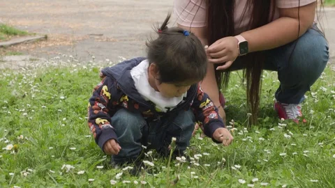 One R More Stock Videos – Royalty-Free HD & 4K Videos | Pond5