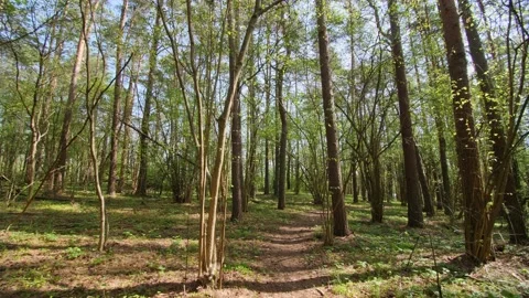 Personal Perspective Stock Footage ~ Royalty Free Stock Videos | Page 8